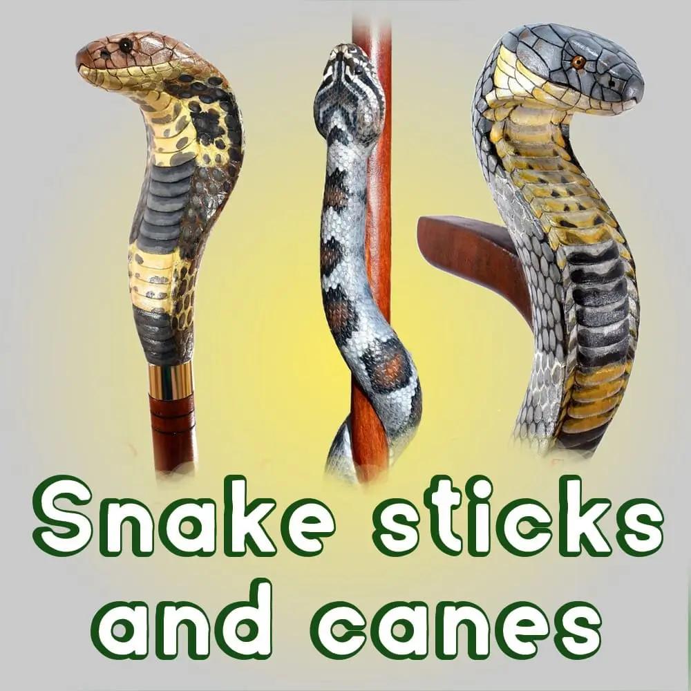 Wooden snake walking sticks and cane | AntSarT