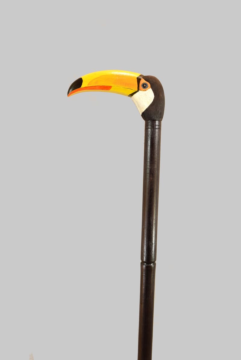 Toucan head handle ,hand carved cane for bird lovers