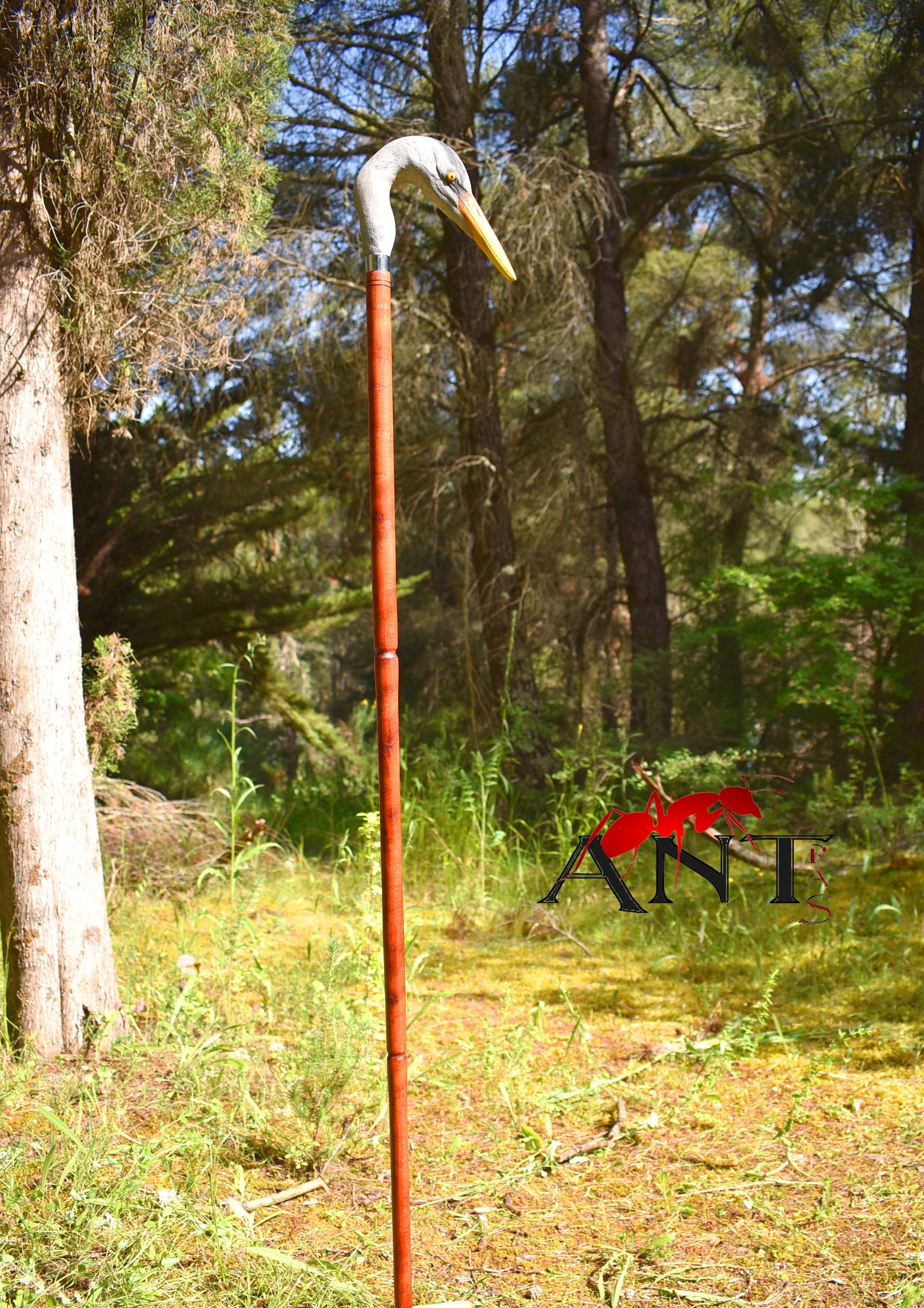Handmade wooden hiking sticks heron fashion accessories | AntSarT