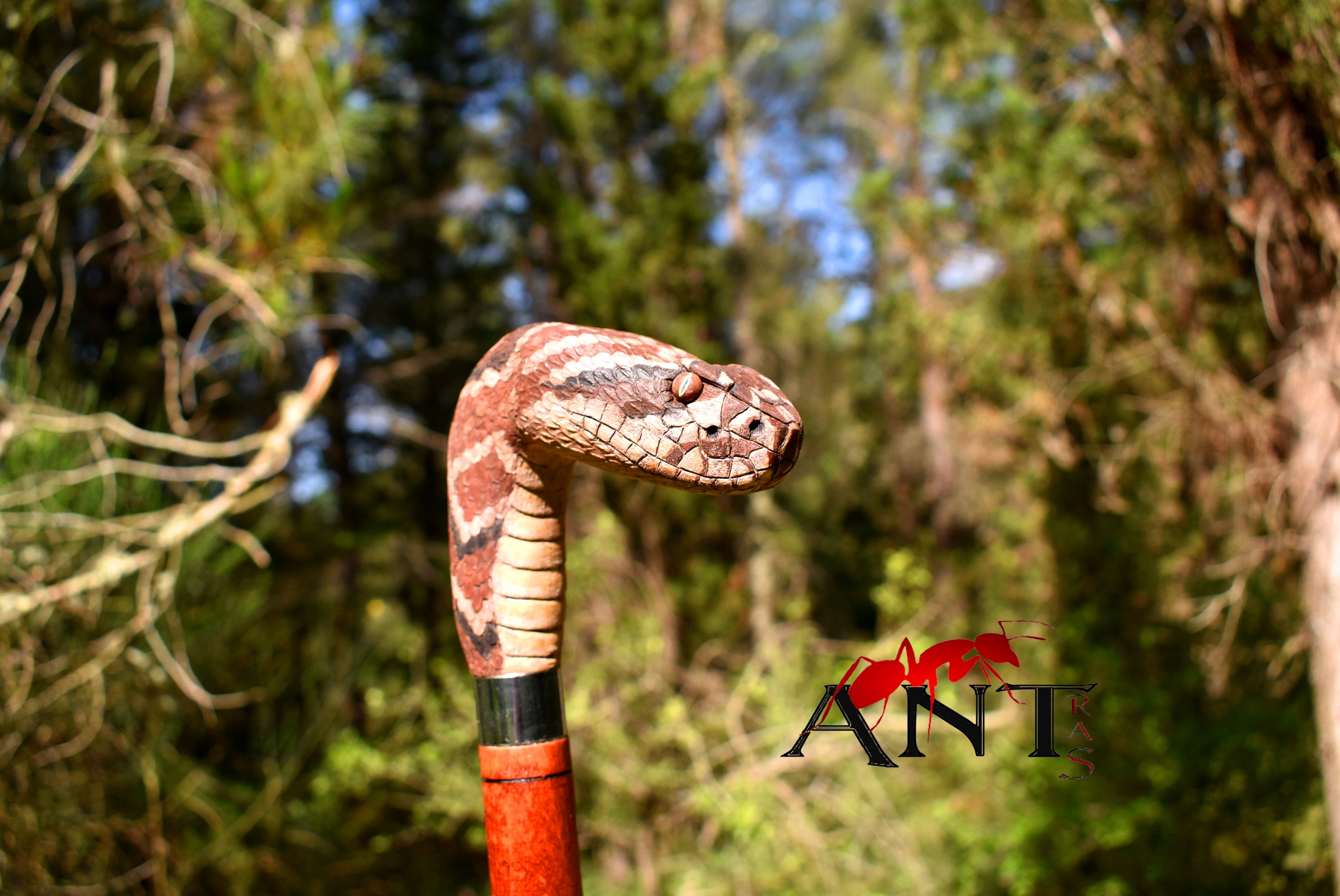 Rattlesnake head wood walking stick for snake lovers | AntSarT